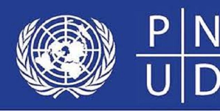 Le PNUD recrute pour ces 3 postes (01 Juin 2022) - YOP L-FRII