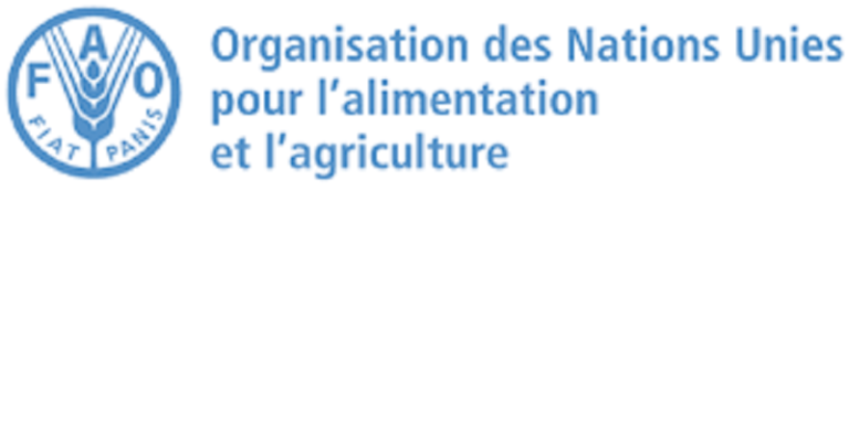 Programme régulier de volontaires de la FAO pour l'Afrique (RAF) 2023 ...