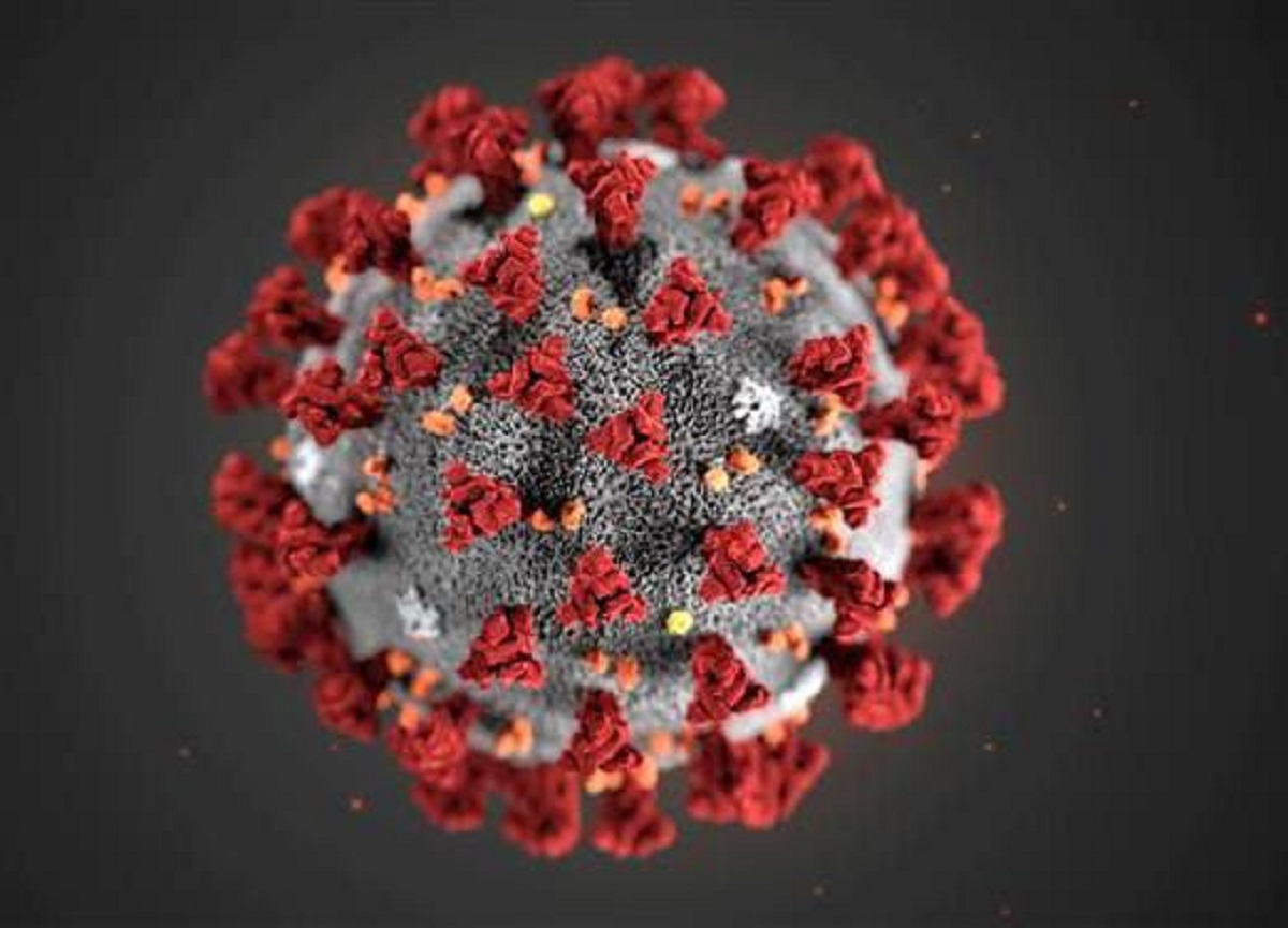 COVID-19 : voici la maladie infectieuse qui tue le plus après le virus