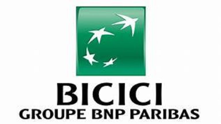 La Banque Internationale du Commerce et de l’Industrie (BICIS) recrute ...