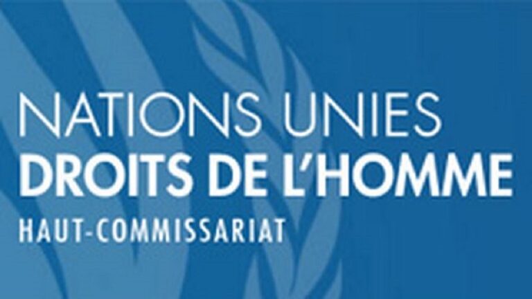 Le Haut-Commissariat des Nations Unies aux droits de l'homme (HCDH ...