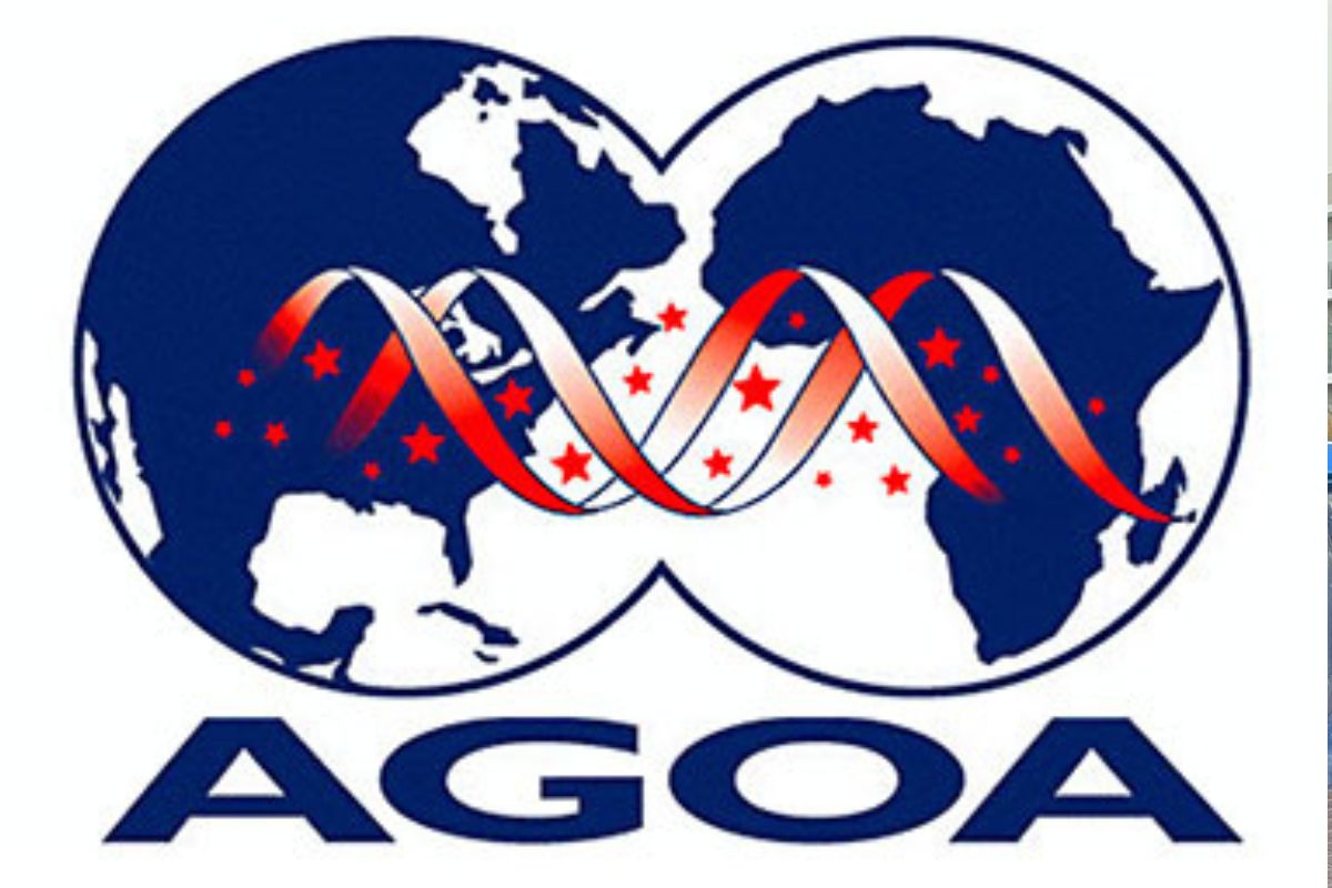 Programme AGOA : voici les 2 pays africains les plus grands ...