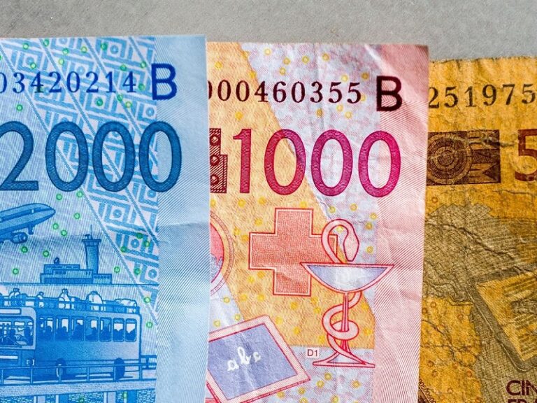 Franc CFA : un mystère non élucidé, tout ce qu’il faut savoir de la « lettre alphabétique ...