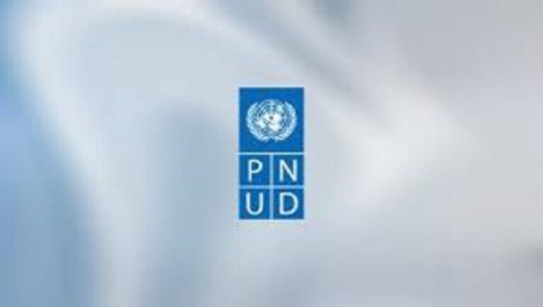 Le Programme des Nations Unies pour le Développement (PNUD) recrute (03 ...