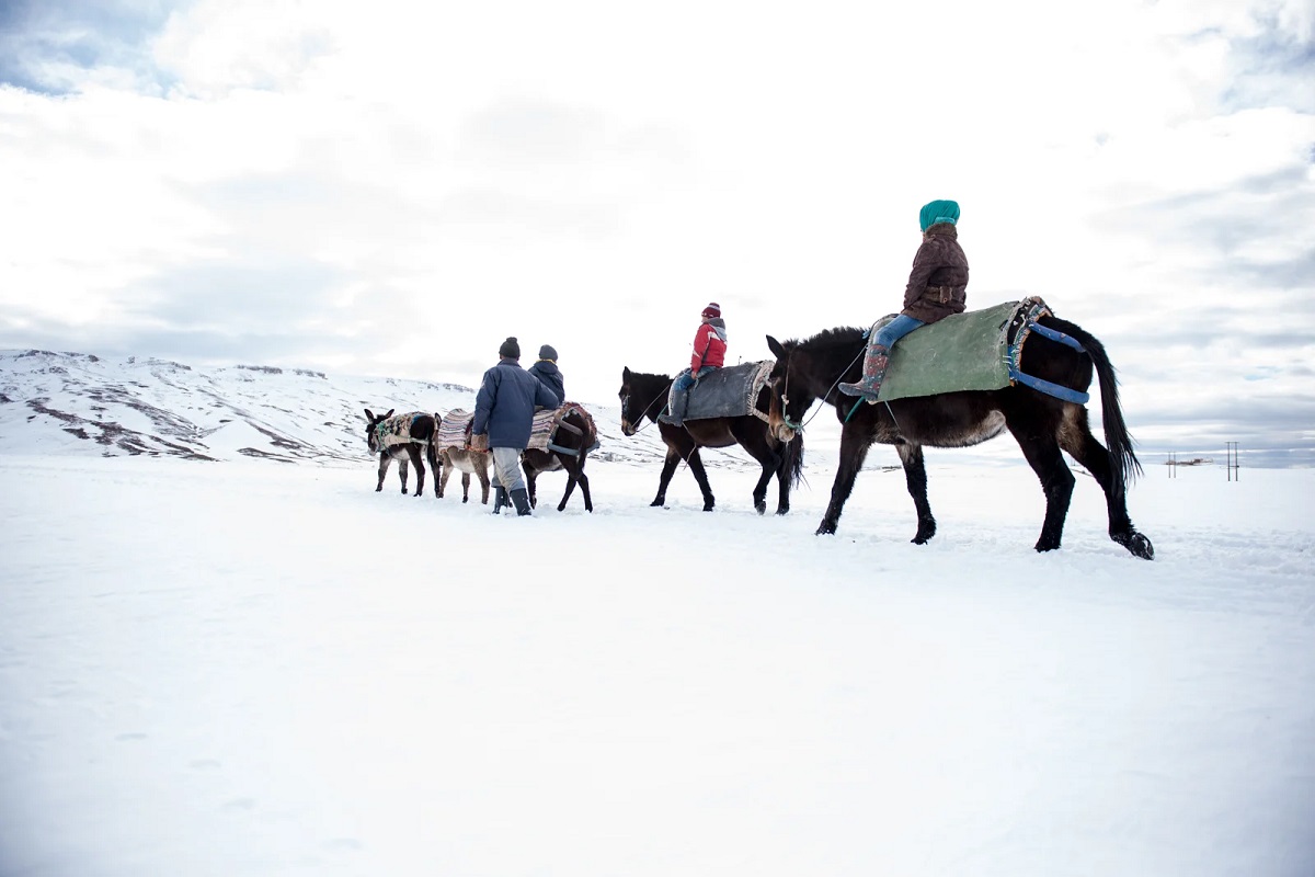 Top 5 des pays les plus froids du monde