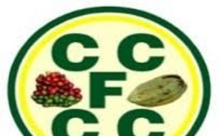 Togo : Le Comité de Coordination pour les Filières Café et Cacao (CCFCC ...