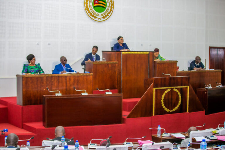 Togo / Ve République : les grands changements que le citoyen doit ...