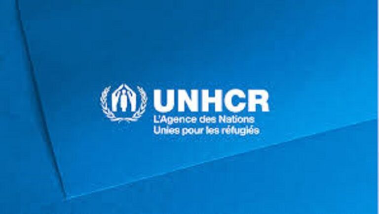 Le Haut-Commissariat des Nations Unies pour les réfugiés (HCR) recrute ...