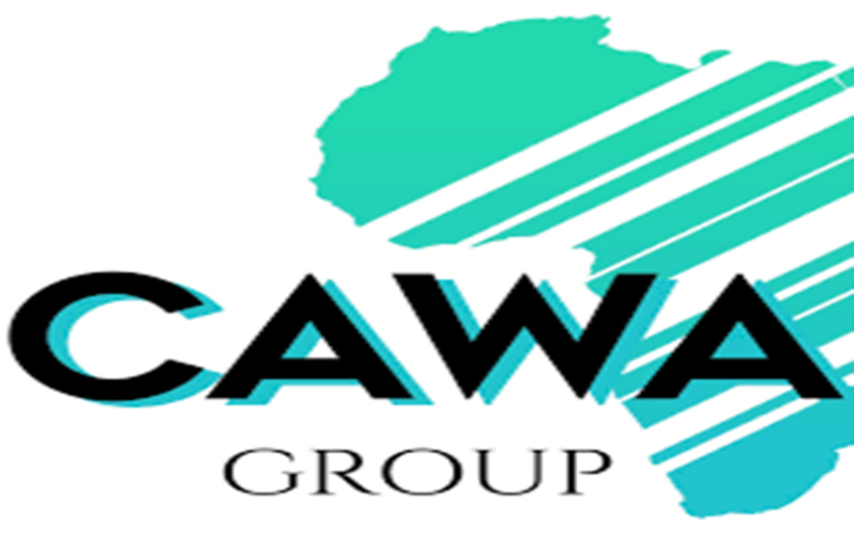 CAWA Group recrute pour ces 03 postes (30 Juin 2024) - YOP L-FRII