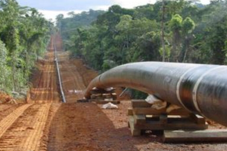 Pétrole du Niger : les autorités annoncent une mauvaise nouvelle aux ...
