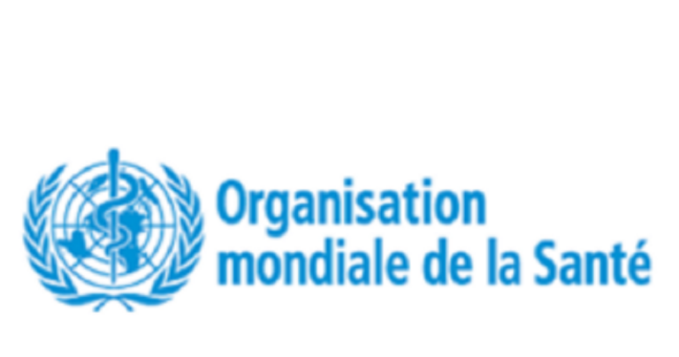 L’Organisation mondiale de la Santé (OMS) recrute pour ces 2 postes (03 ...