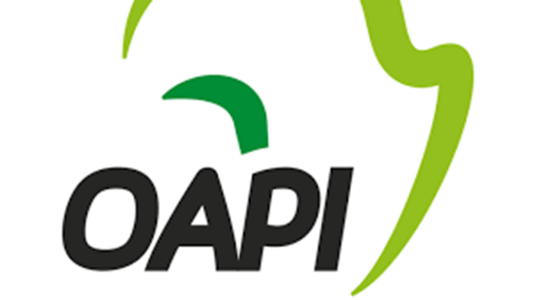 OAPI : appel à candidatures pour la 6e édition de la Formation ...