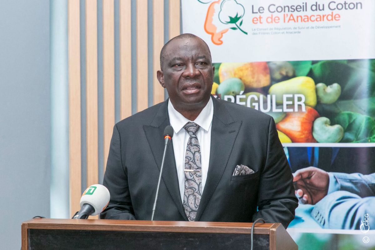Côte d'Ivoire/Filière anacarde : le ministre Adjoumani lance un appel aux opérateurs économiques ...