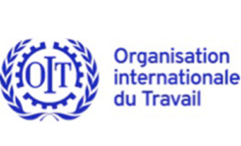 L'Organisation internationale du travail (OIT) recrute un stagiaire (10 Septembre 2024) - YOP L-FRII