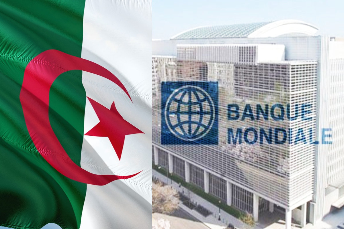 Algérie : la Banque mondiale annonce une excellente nouvelle au pays du Maghreb - YOP L-FRII