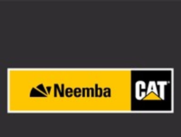 Le Groupe NEEMBA recrute un stagiaire (25 Janvier 2025) - YOP L-FRII