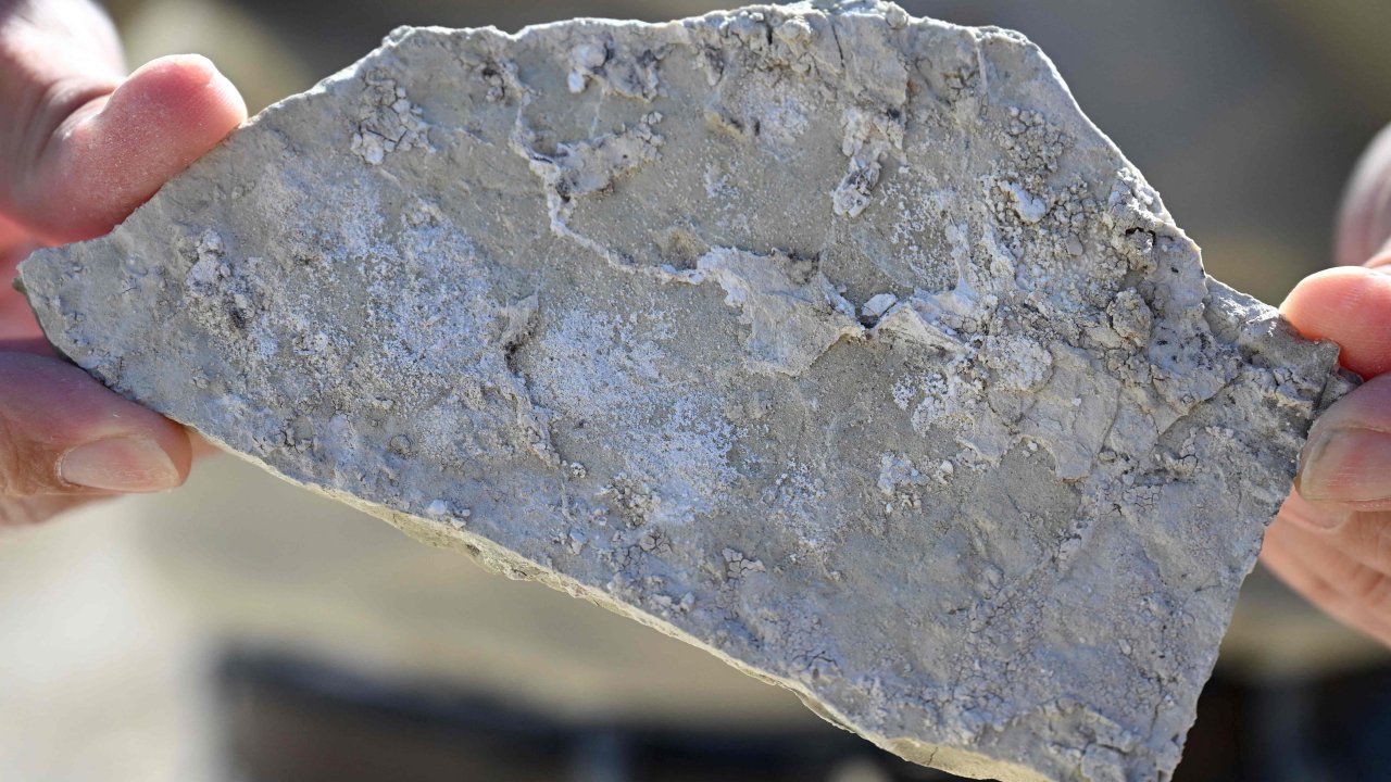Lithium : les États-Unis pourraient surclasser ce pays membre des BRICS ...