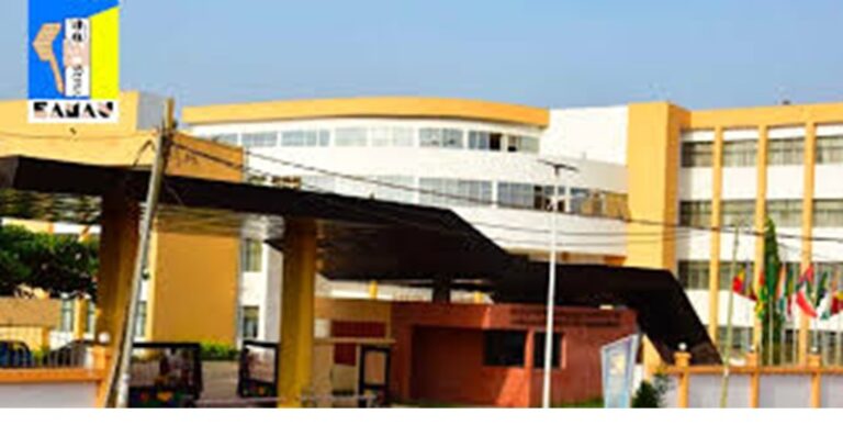 École Africaine des Métiers de l'Architecture et de l'Urbanisme (EAMAU) : Concours d’idées/appel ...