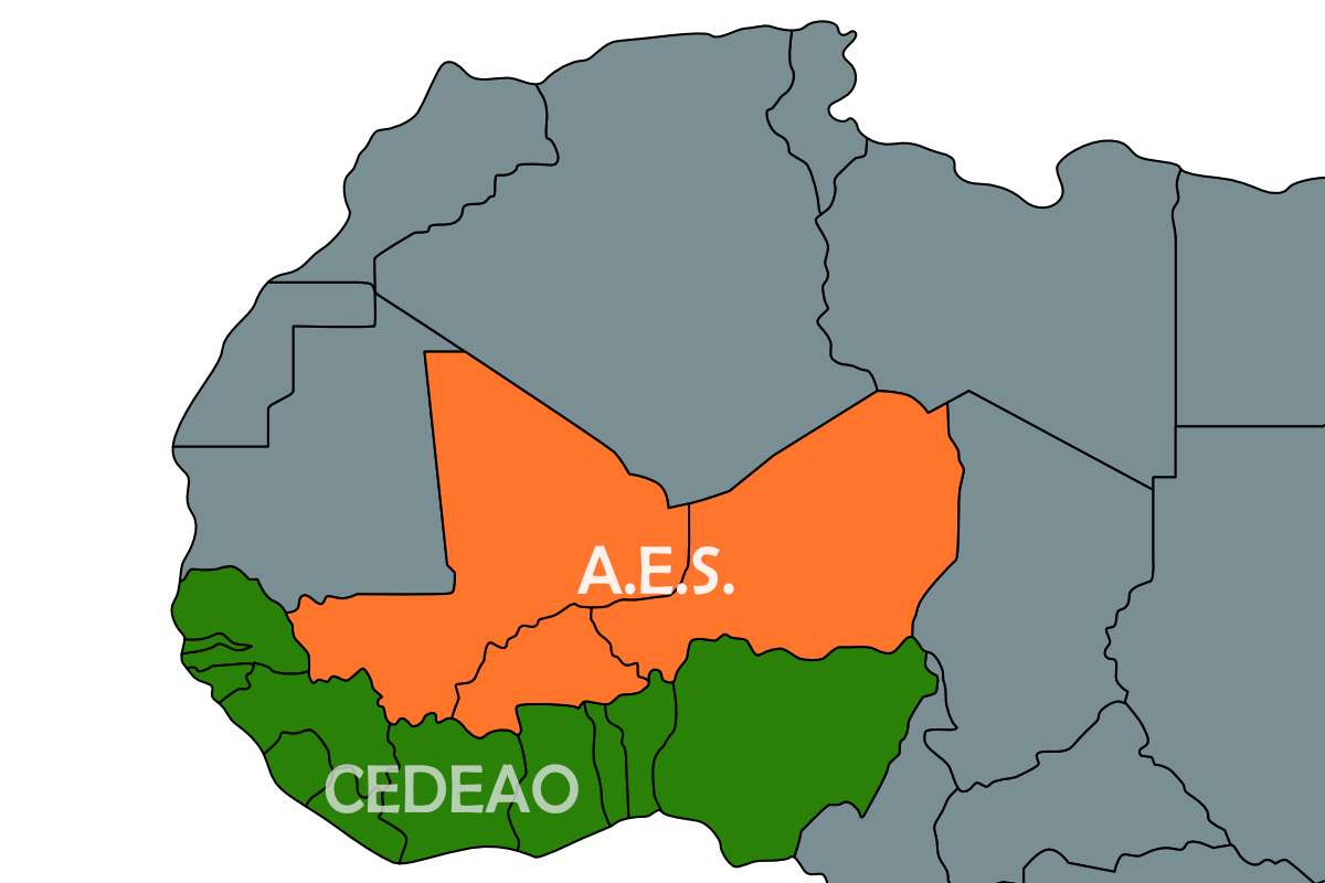 CEDEAO : le départ des trois pays de l’AES assombrit la... - YOP L-FRII