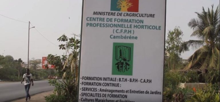 Sénégal : Concours d’Entrée au Centre de Formation Professionnelle Horticole (CFPH) de Cambérène ...