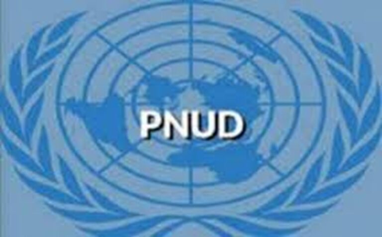RECRUTEMENT au PNUD : nouveau poste à pourvoir (12 octobre 2025) - YOP ...