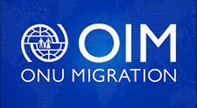 Opportunité de Volontariat humanitaire à l’OIM (13 Novembre 2025) - YOP ...