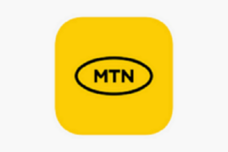 Niger/Institut National de la Statistique (INS) : recrutement de huit ...