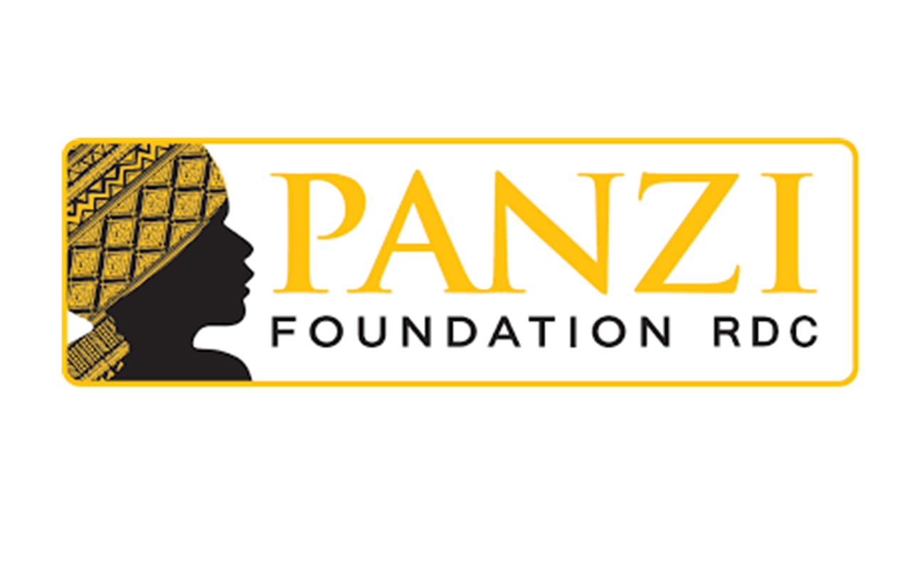 Programme d’Ambassadeur de la jeunesse Panzi ; appel à candidature 2026 ...