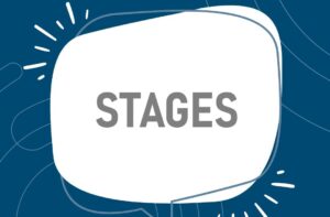 CI : opportunité de stage à SYNERGIES CAPITAL (31 janvier 2026) - YOP L ...