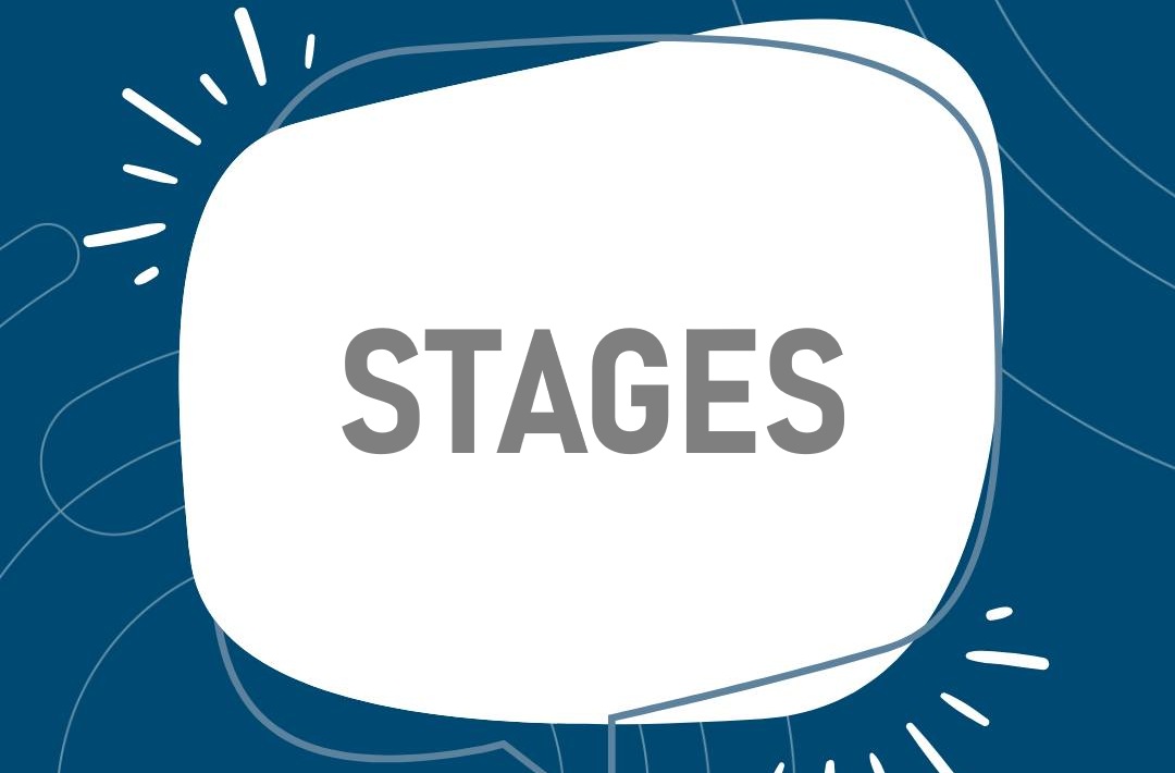 CI : opportunité de stage à SYNERGIES CAPITAL (31 janvier 2026) - YOP L ...
